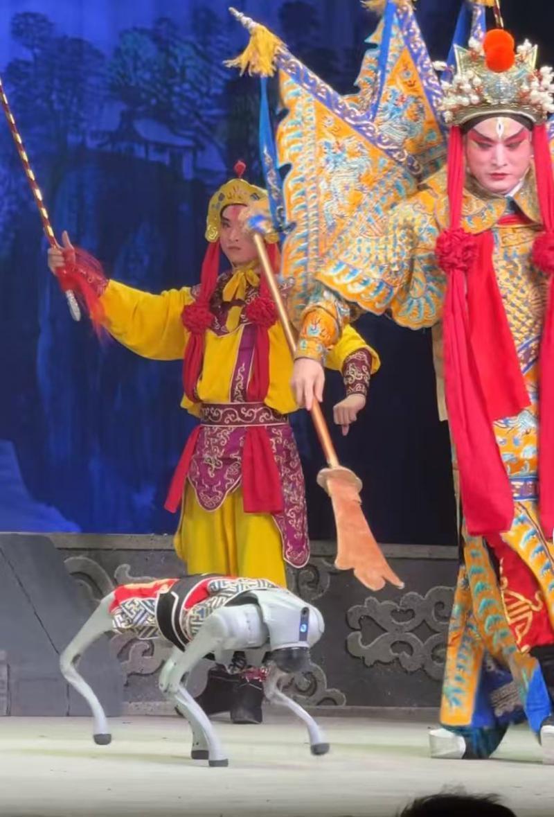 文章图片
