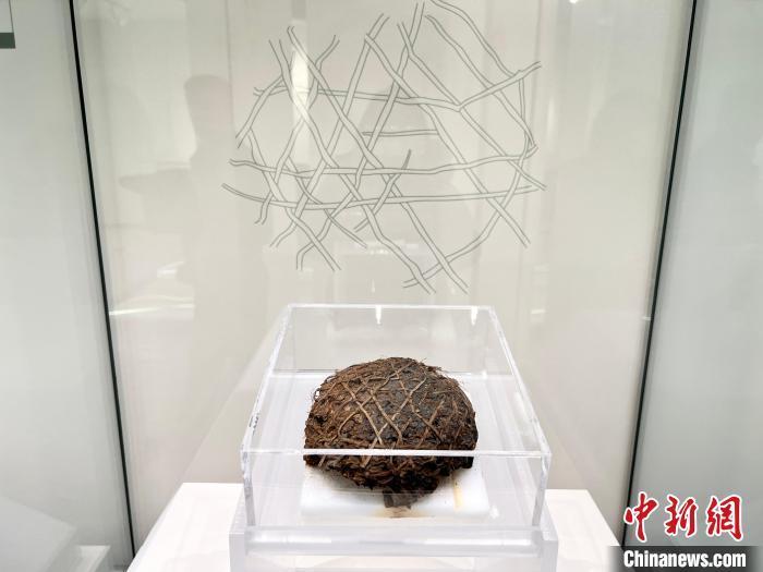 文章图片