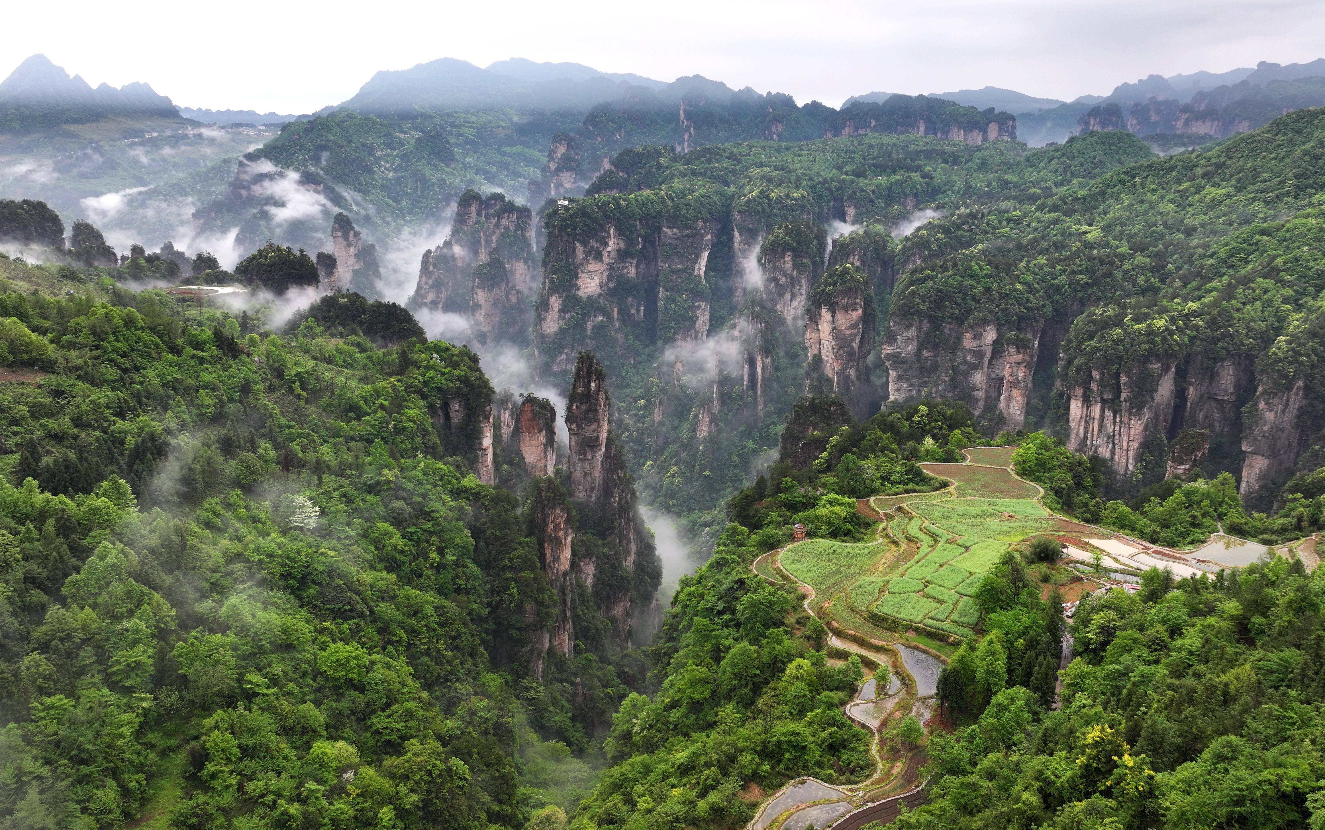 文章图片