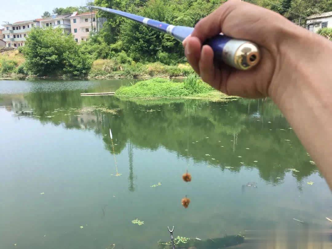 文章图片
