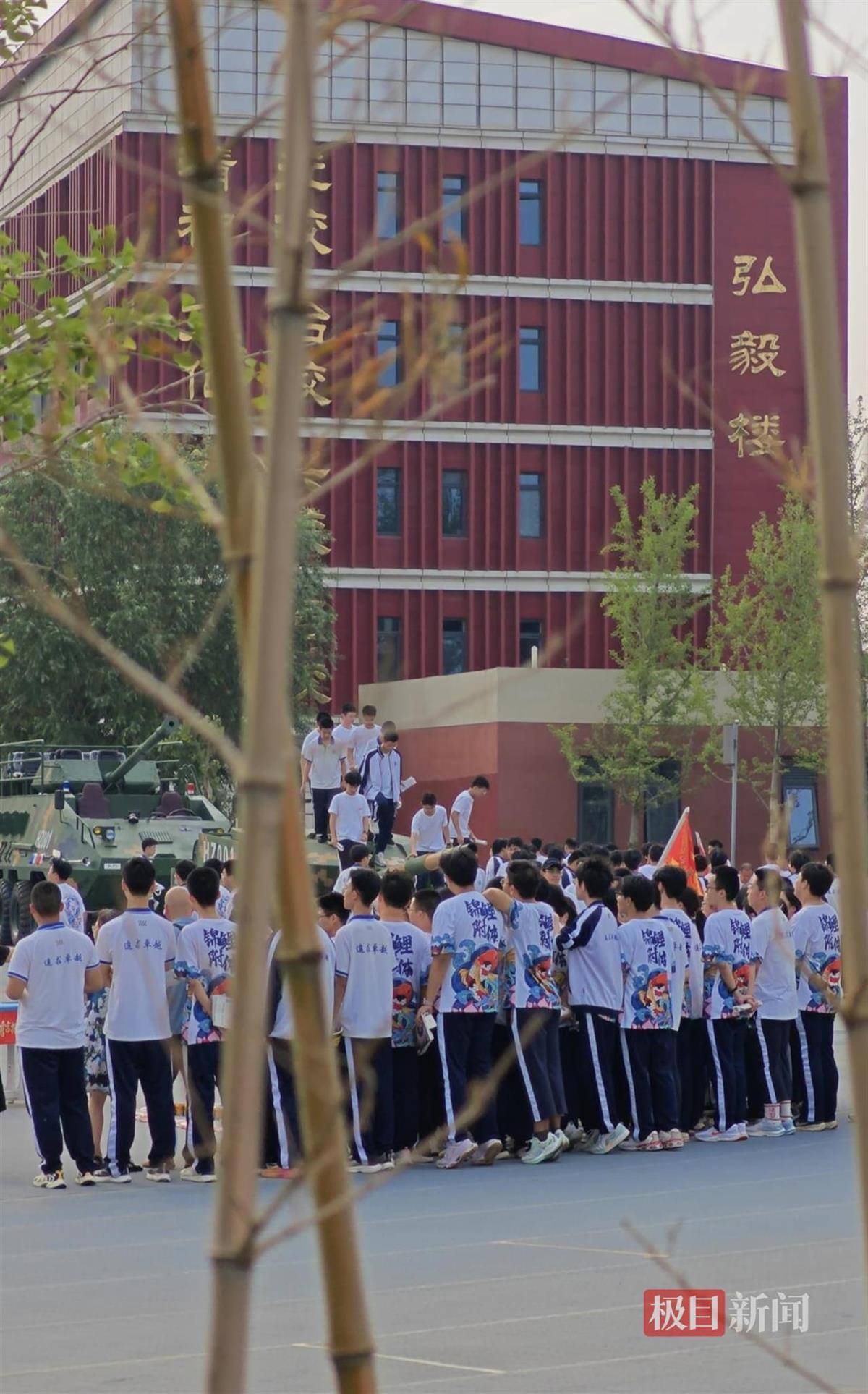 文章图片
