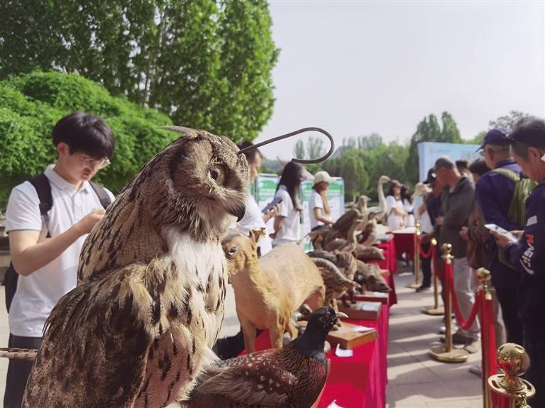 文章图片