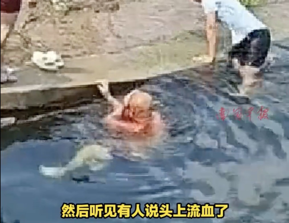 文章图片