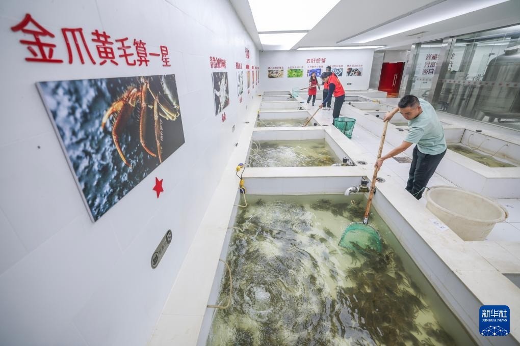 文章图片