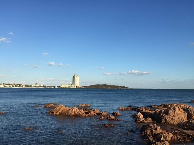 文章图片