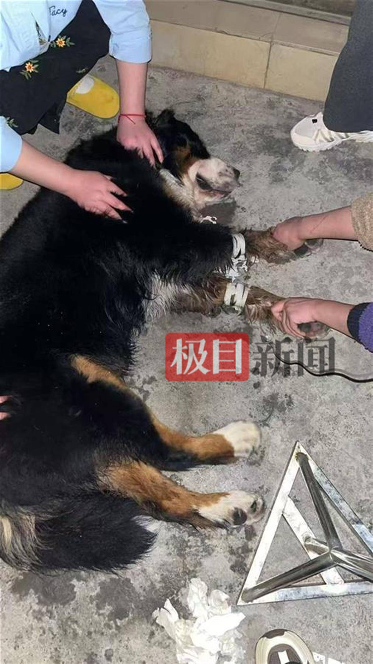 文章图片