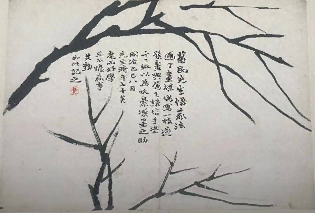 文章图片