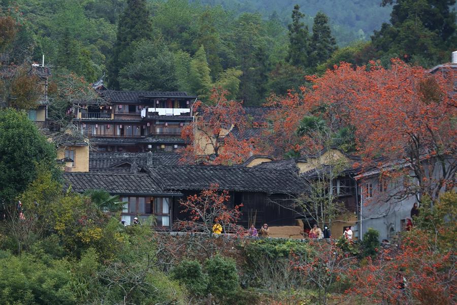 文章图片
