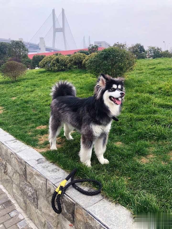 文章图片