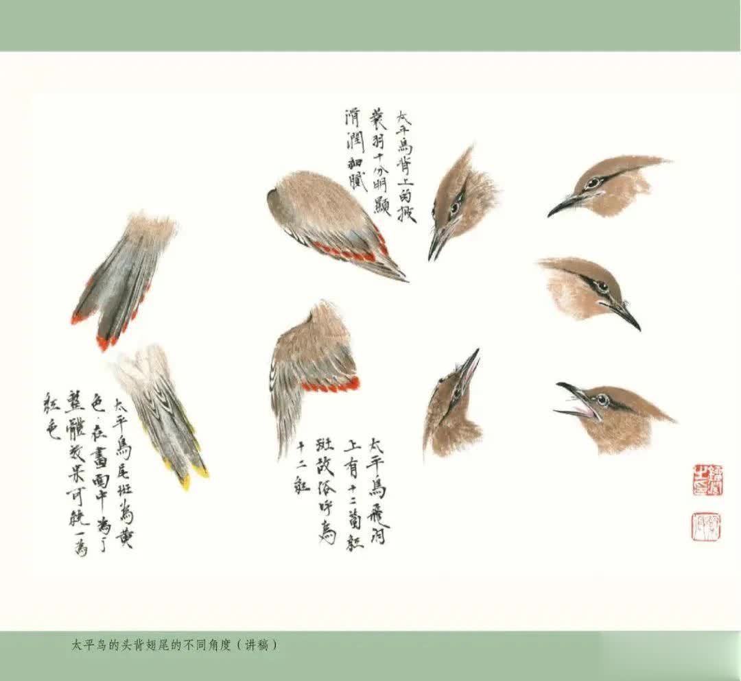 文章图片