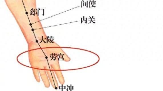 文章图片