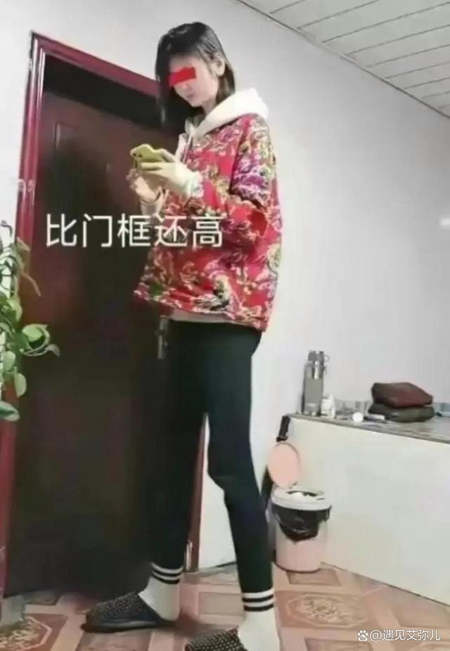 文章图片