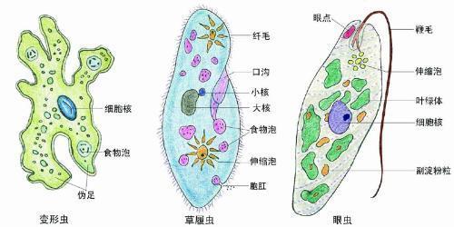 文章图片
