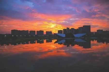 文章图片