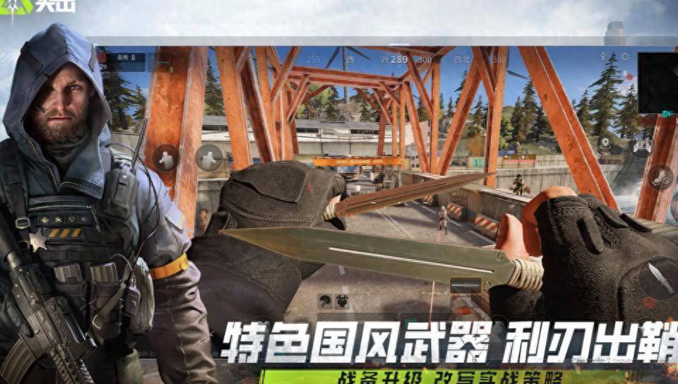 文章图片