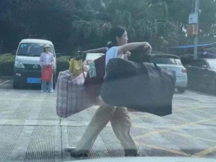 文章图片