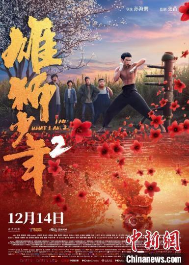 文章图片