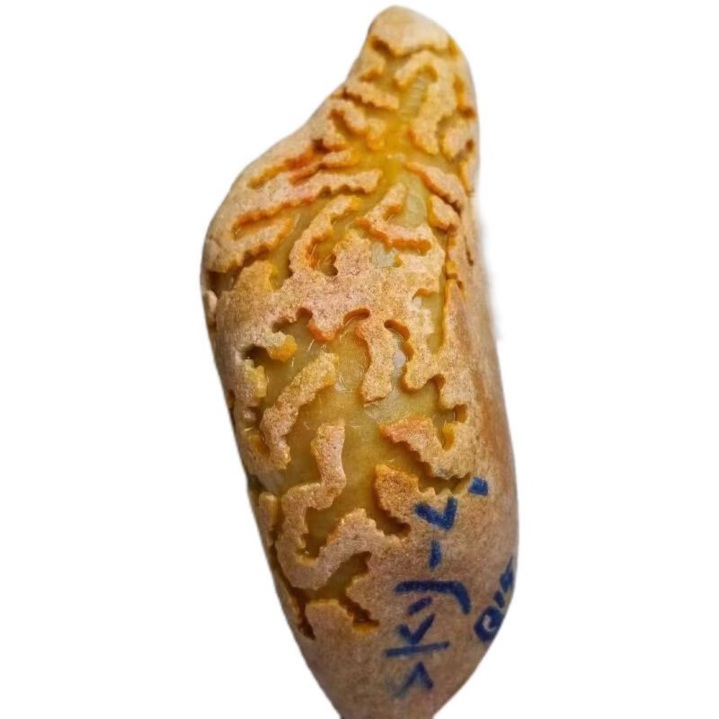 文章图片