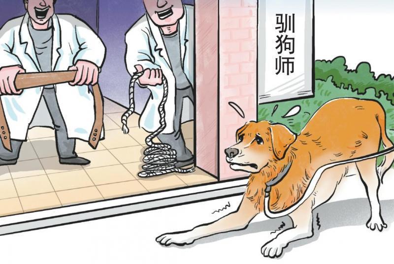 文章图片