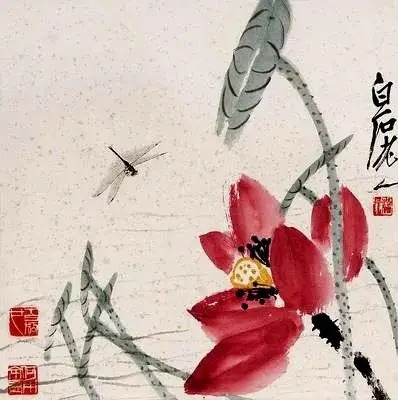文章图片