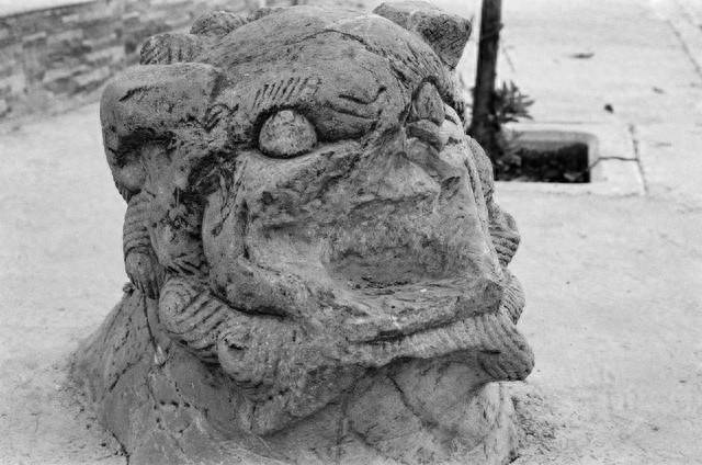 文章图片
