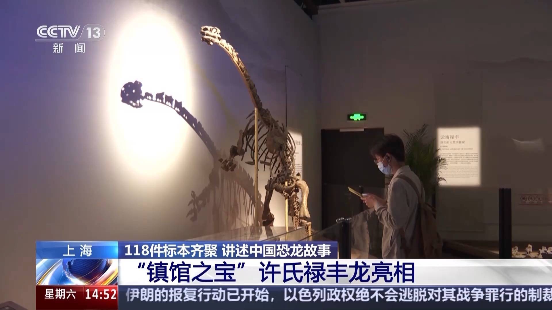 文章图片