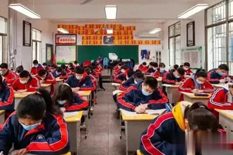 文章图片
