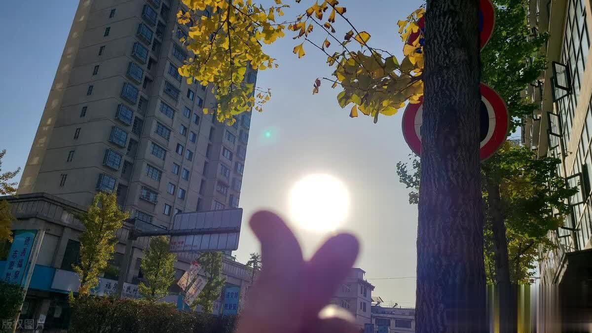 文章图片