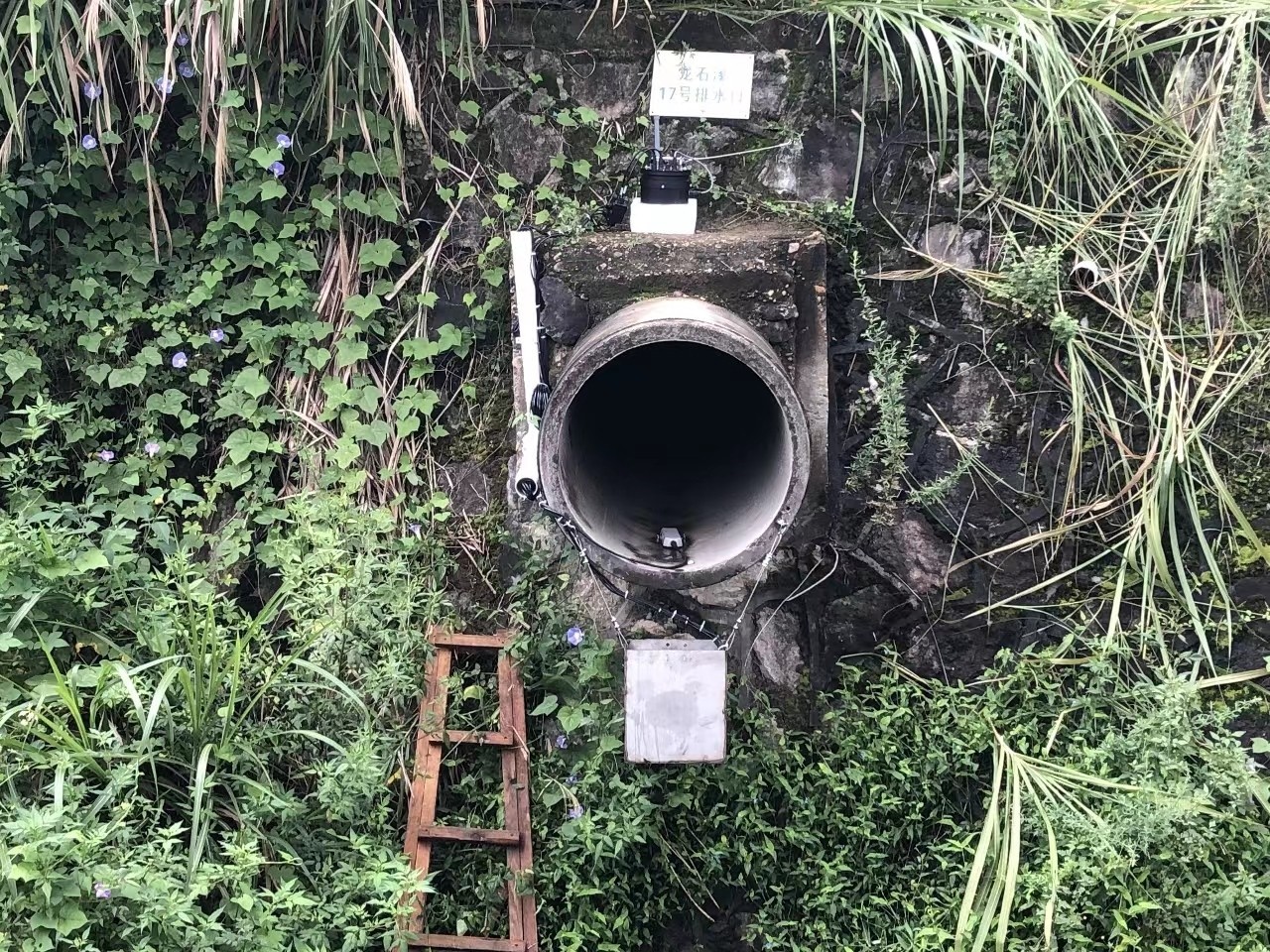 文章图片