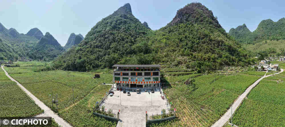 文章图片