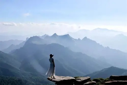 文章图片