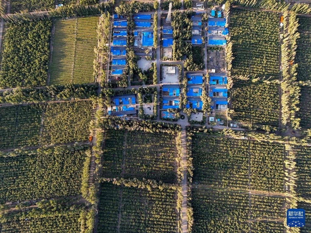文章图片