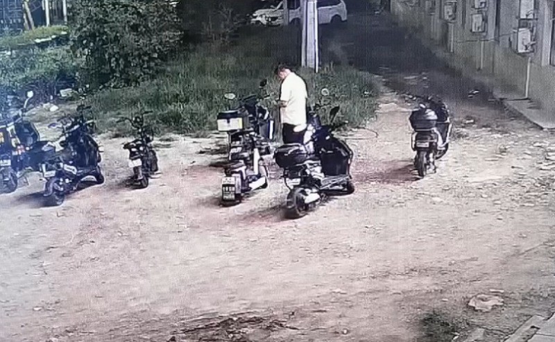 文章图片