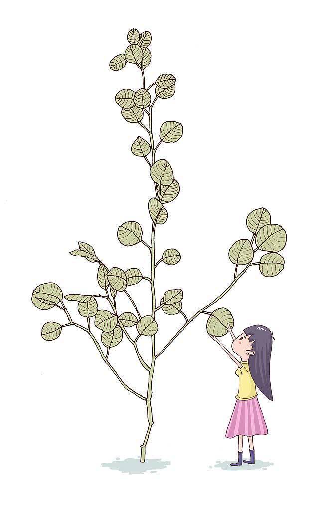 文章图片