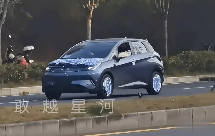 文章图片