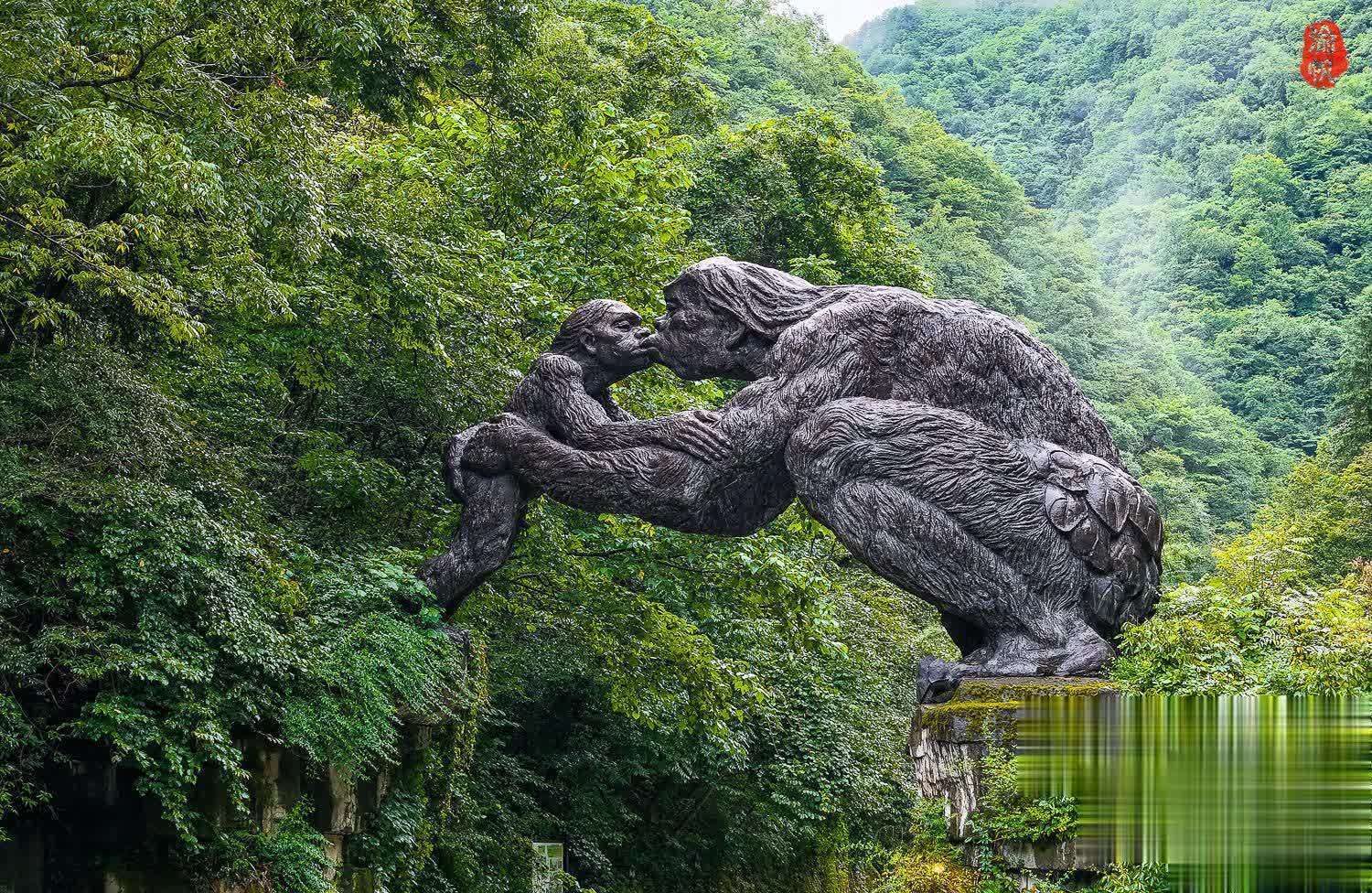 文章图片