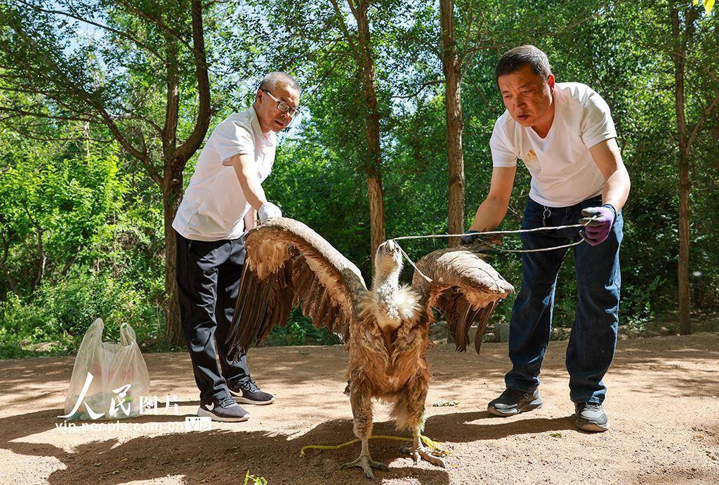 文章图片