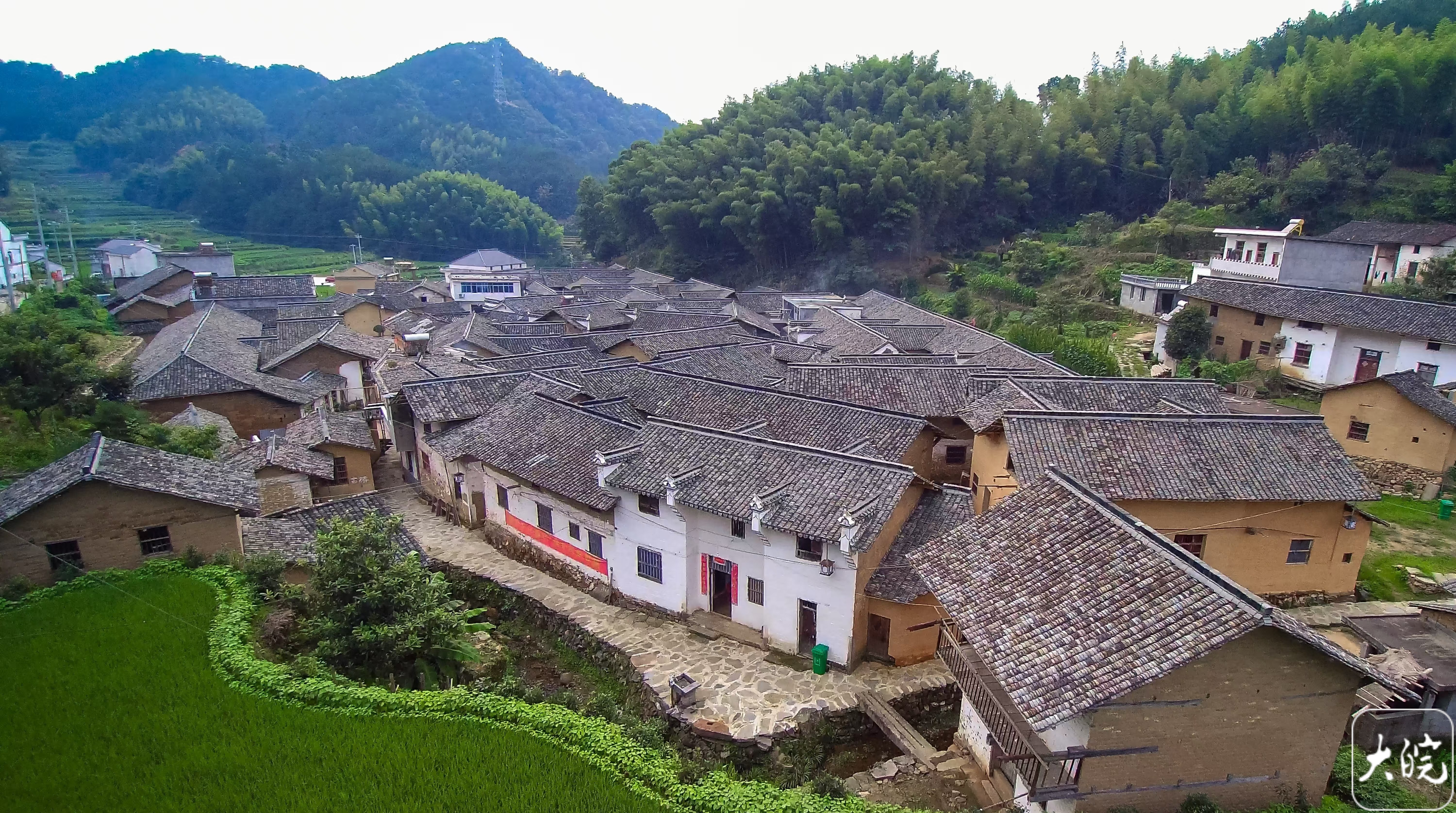 文章图片