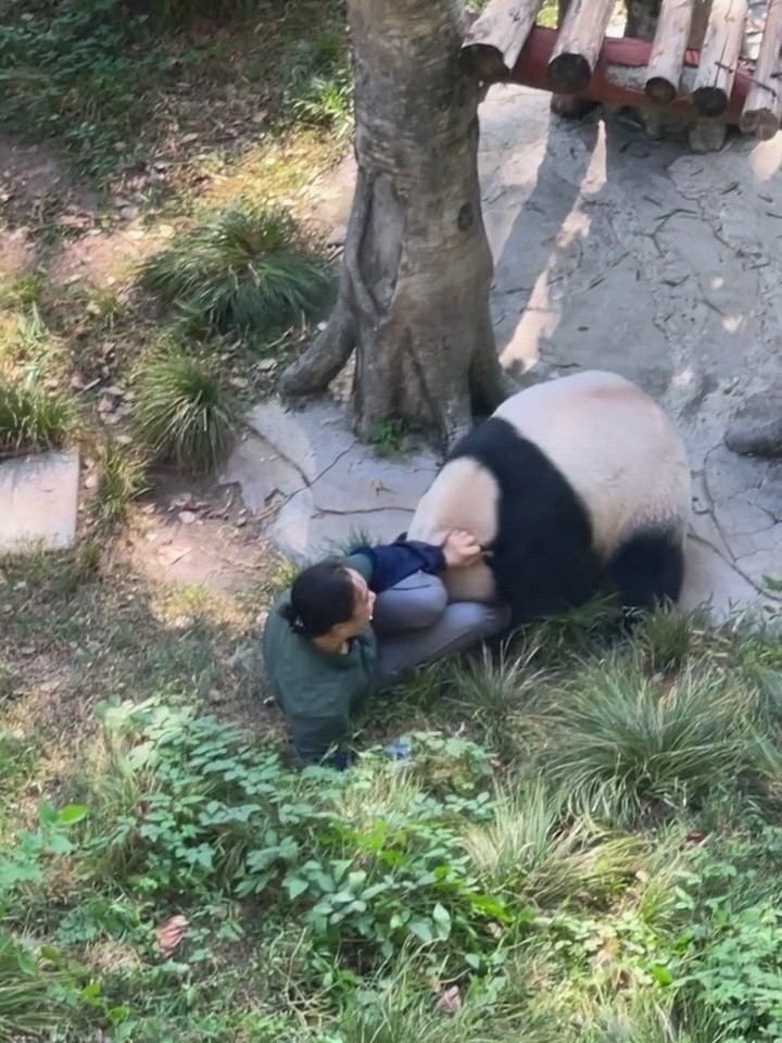 文章图片
