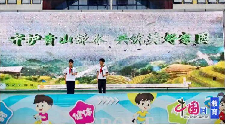 文章图片