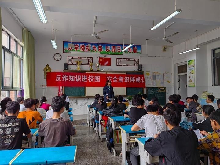 文章图片