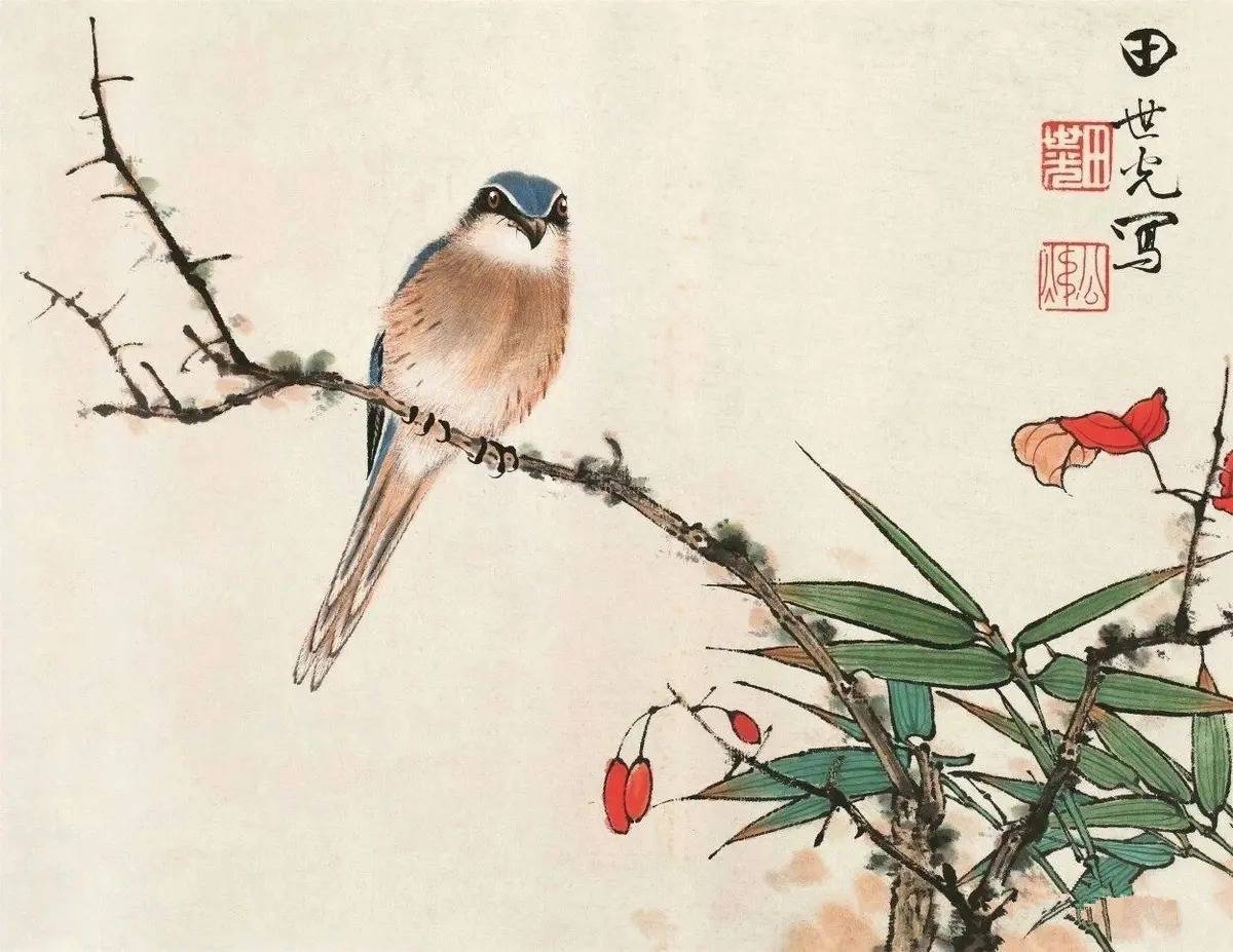 文章图片