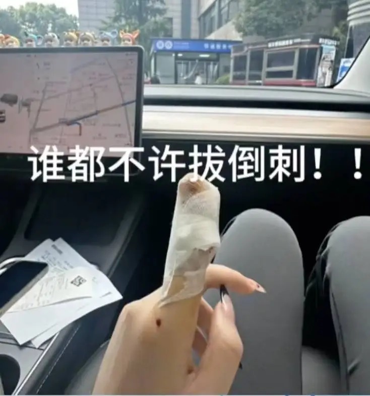 文章图片