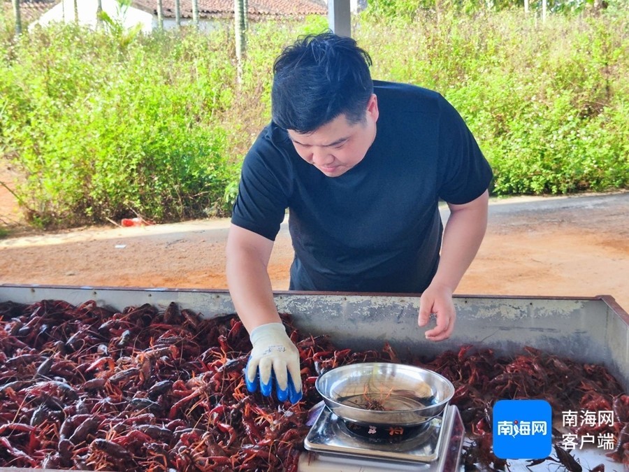 文章图片