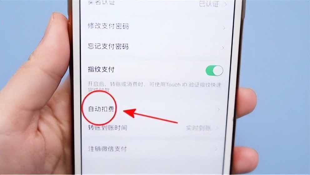 文章图片