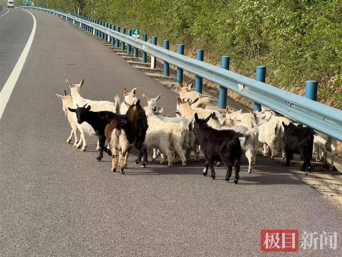 文章图片