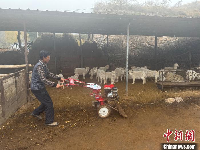 文章图片