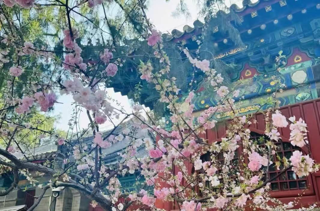 文章图片