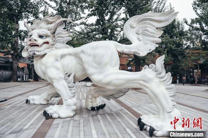 文章图片