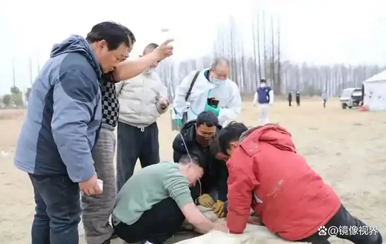 文章图片